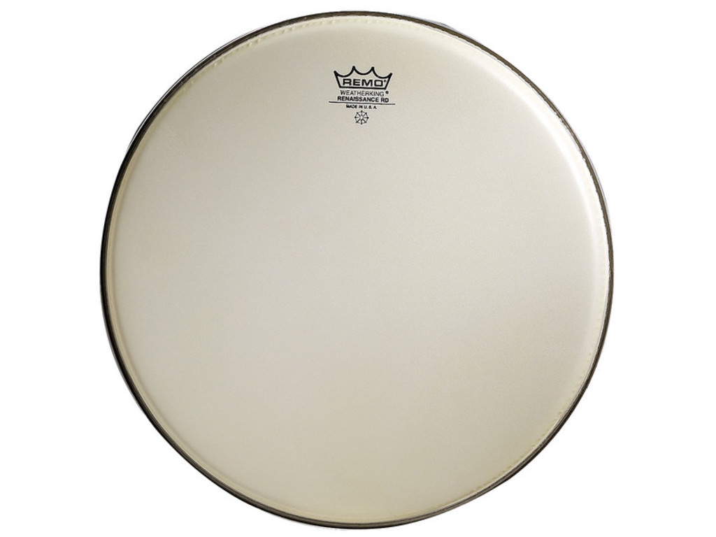 Buy Remo RD-0018-SS? Order online for the best price! | Adams