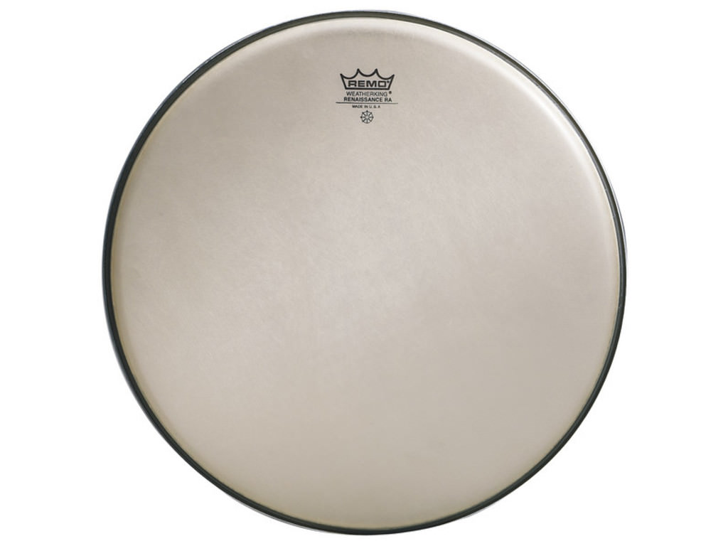 Remo RE-0016-SS kopen? Bestel online, scherpste prijs! | Adams