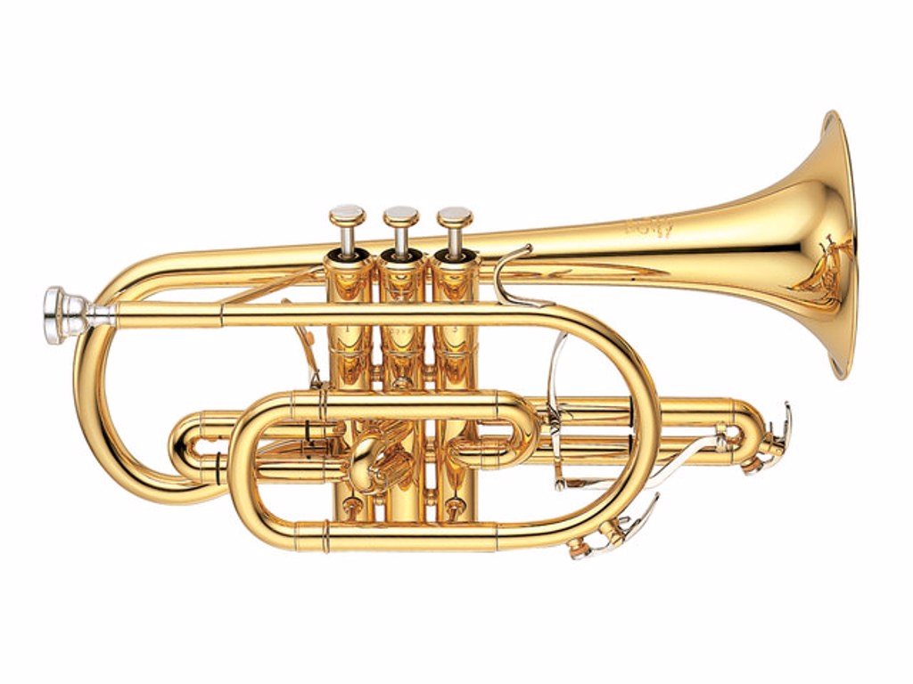 Looking to buy a cornet? For every musician: from beginner to professional.