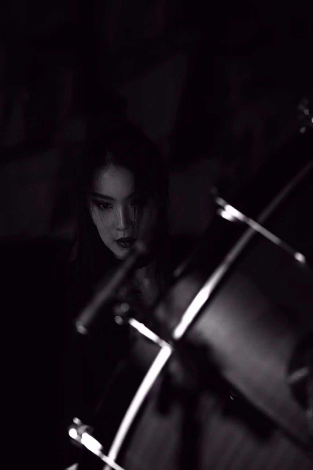 Zhe Lin | Adams Artist